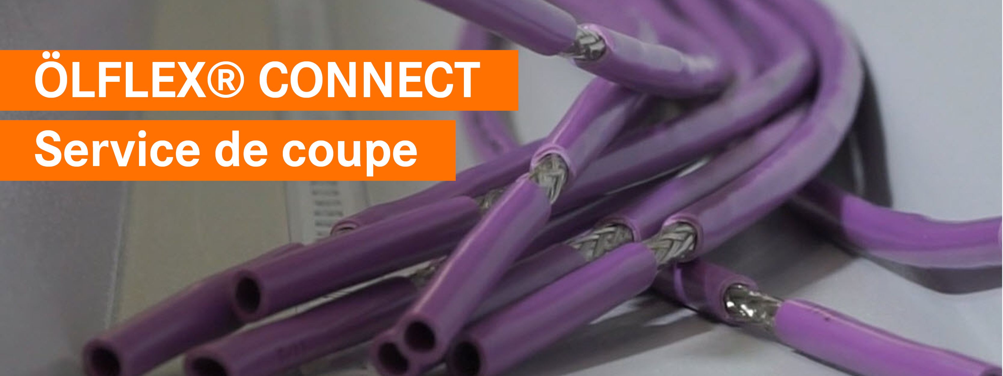 LAPP SWISS AG - Volland AG